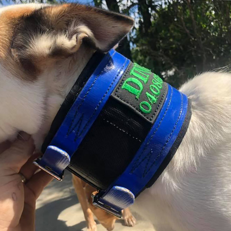 Neck Collars – Pig Dog Supplies