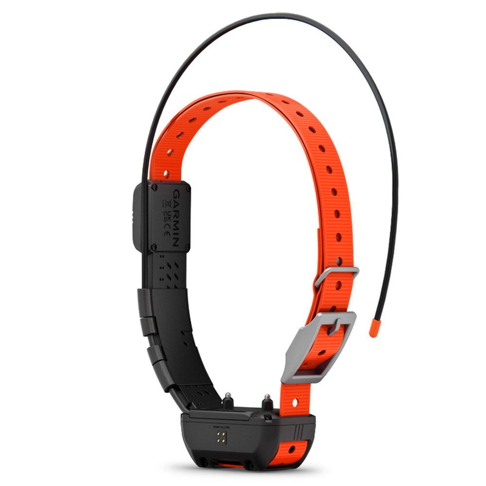 Garmin Alpha TT25 Dog Track N Train Collar – Pig Dog Supplies